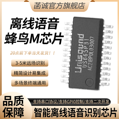 AI智能离线语音识别US516P6机芯