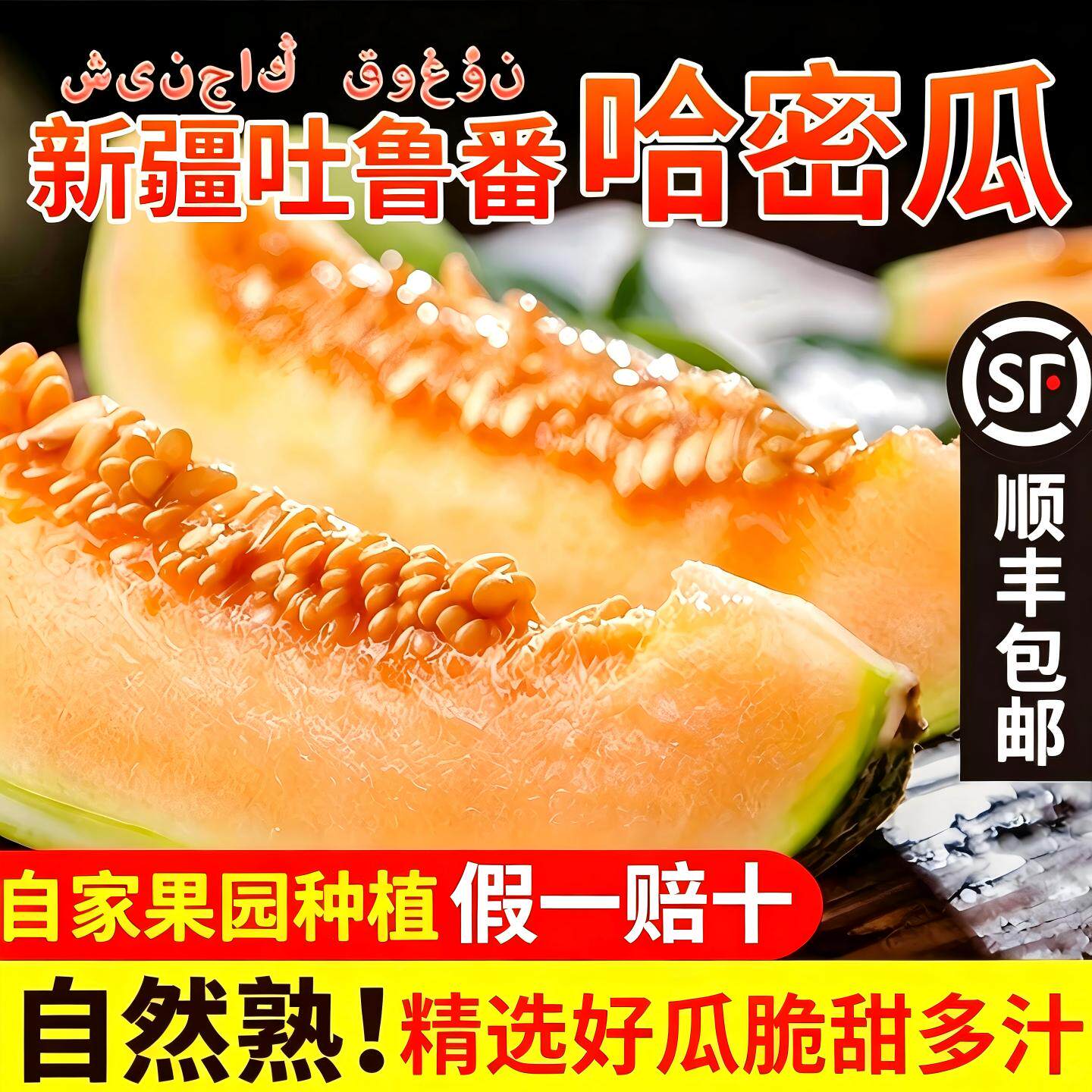 正宗新疆哈密瓜吐鲁番西州蜜网纹蜜瓜新鲜蜜瓜应当季现摘水果甜瓜