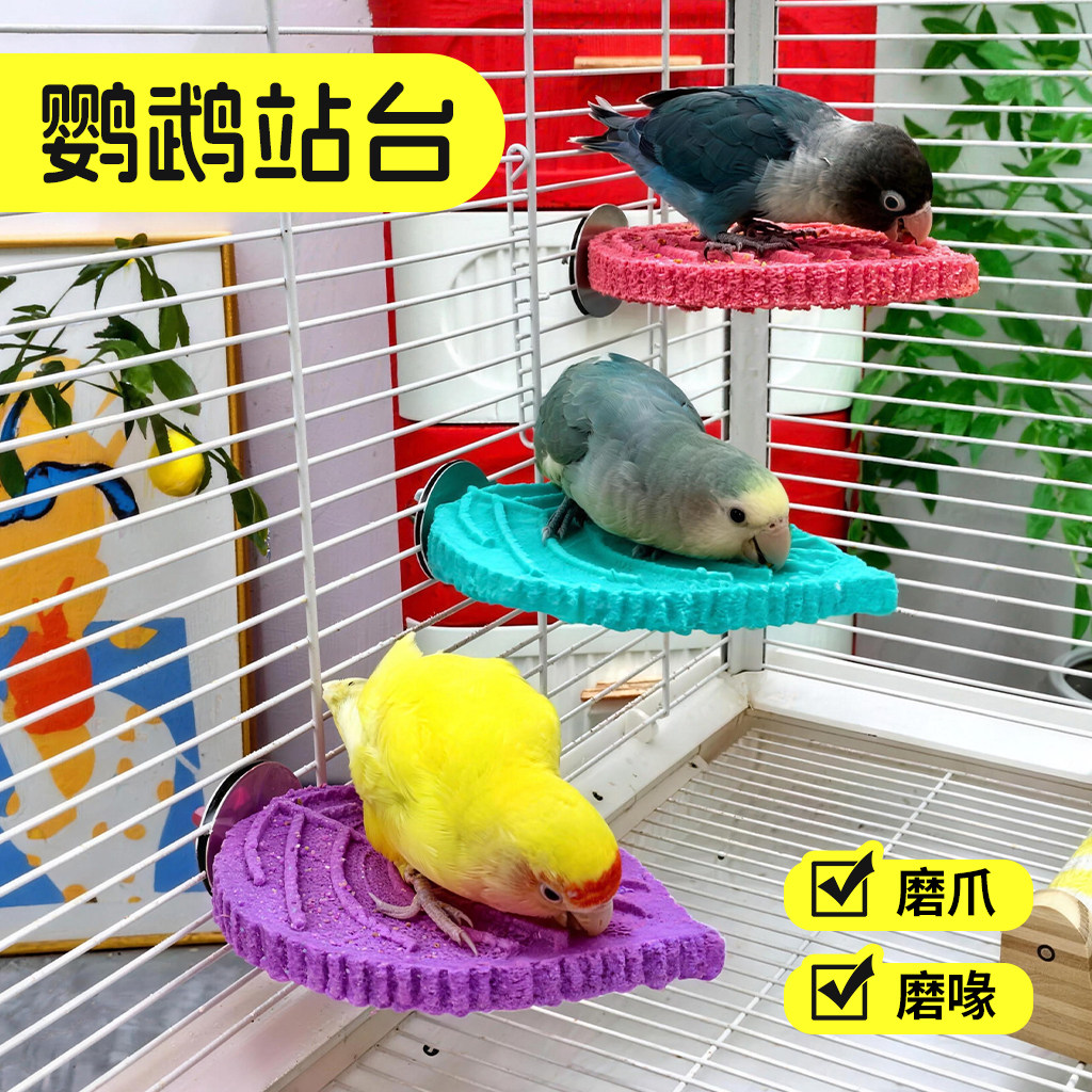 鹦鹉磨砂站杆树叶站台虎皮玄凤牡丹专用磨喙磨爪鸟笼装饰鸟类用品