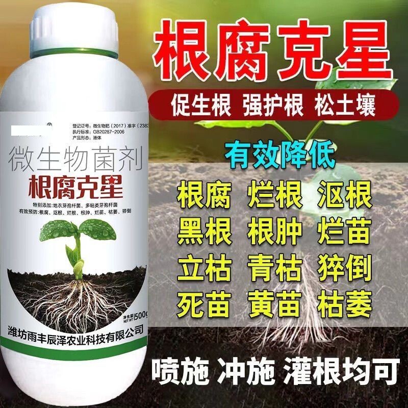 根腐克星根腐急救枯草芽孢杆菌哈茨木霉菌立枯病死根烂根生物菌肥