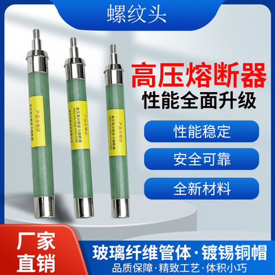 高压熔断器带螺纹杆头PT保险