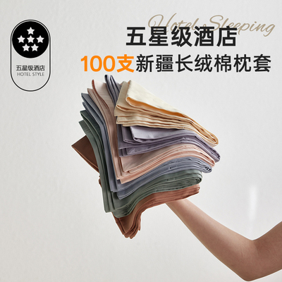 五星级酒店款100S新疆长绒棉枕头套全棉纯棉48cmx74cm一对装单个