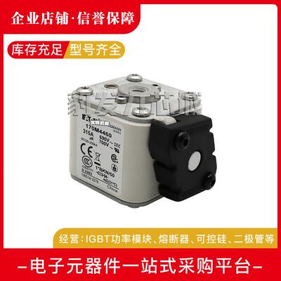 170M4693 170M4694 170M4695 170M4696 170M4697全新熔断器现货
