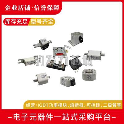 170M3365 170M3366 170M3367 170M3368 170M3369/3370/3371熔断器
