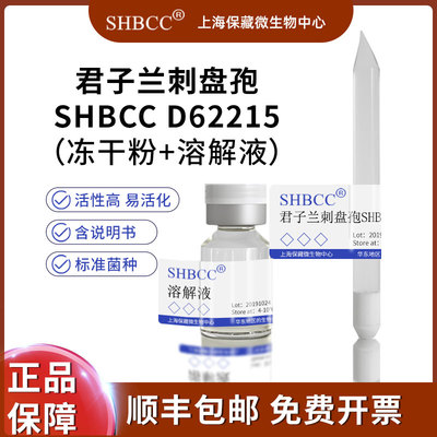 君子兰刺盘孢shmcc斜面培养物冷