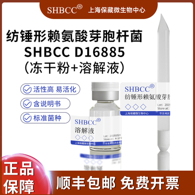 SHBCC纺锤形赖氨酸芽胞杆菌