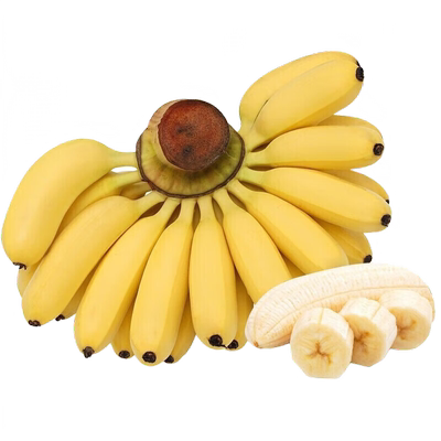 香蕉海南芭蕉新鲜三亚特产