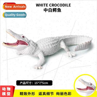 Children amphibian crocodile model new whe crocodile crocodi