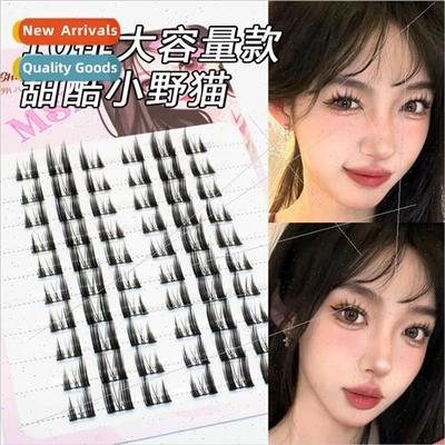 Wild ltle wildcat eyelashes pure desire thick natural manga