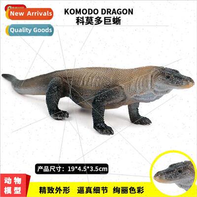 Solid static wildlife model children toys toucan komodo touc