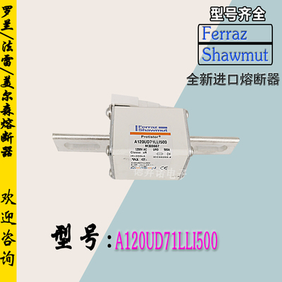 全新热卖罗兰熔断器A110UD73LI900现货直销L300689质保一年