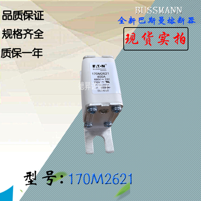 170M3058全新热卖供应巴斯曼熔断器170M2620电子保险丝170M2621
