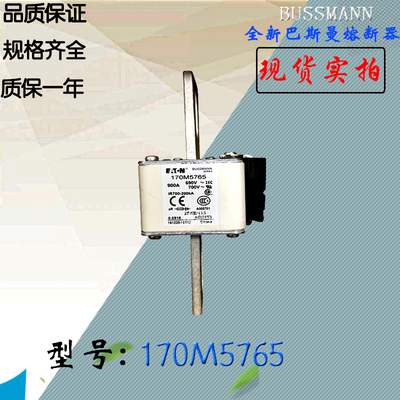 170M5765全新热卖供应巴斯曼熔断器170M5766电子保险丝170M5767