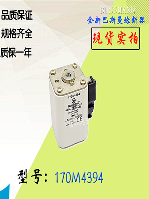 BUSSMANN170M3397保险丝熔断器