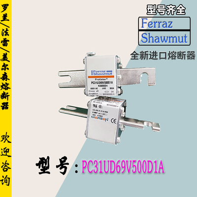 全新现货热卖罗兰熔断器质保一年F300017现货直销PC31UD69V630A