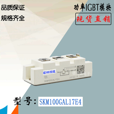 西门康SKM100GAL063DIGBT模块