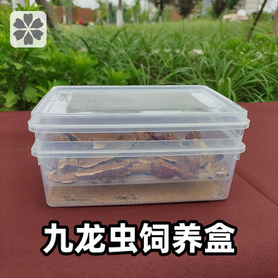 九龙虫饲养盒洋虫盒分离繁殖盒