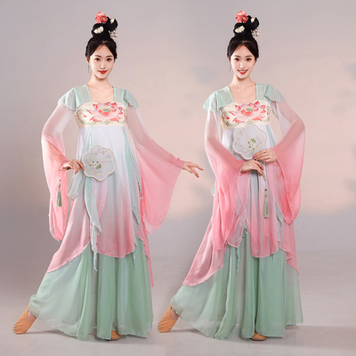 古典舞蹈服女飘逸中国舞齐胸汉元素汉唐仙气纱衣大摆裙演出服套装