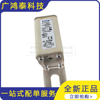 全新 170M2665/2664/2663/2662/2661/2660  快速熔断器