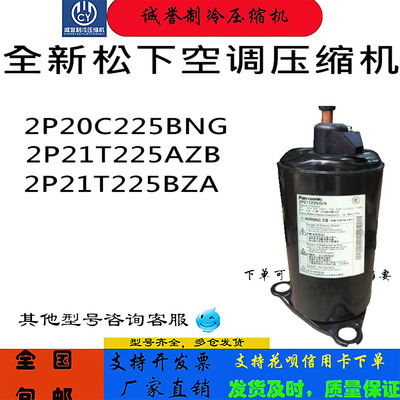2P20C225BNGAZB5RS092ZGA21