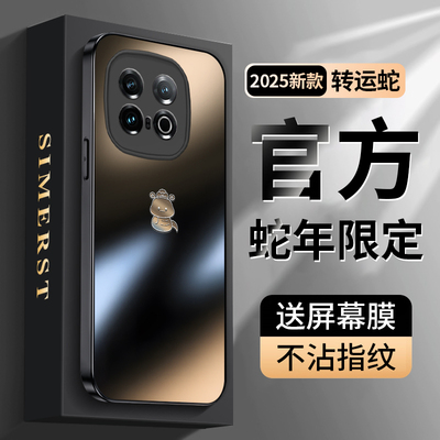 【蛇年限定】适用iQOO13手机壳