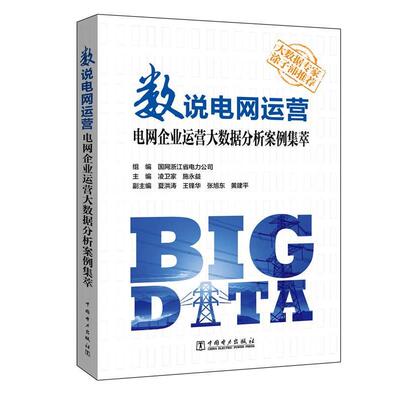 【正版书】 数说电网运营---电网企业运营大数据分析案例集萃 组编 国网浙江省电力公司 主编 凌卫家,施永益 副主编 夏洪涛,王锋华