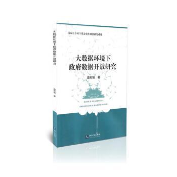 【正版】大数据环境下政府数据开放研究 迪莉娅