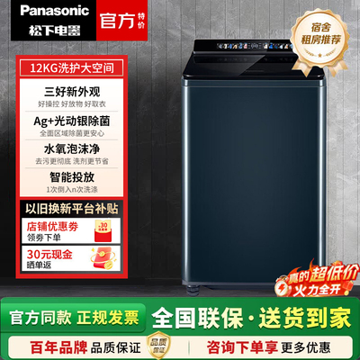 Panasonic/松下 XQB120-U16F不弯腰波轮12KG变频离心洗水氧泡沫净