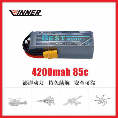VINNER4S6S8S4200MAH锂电池