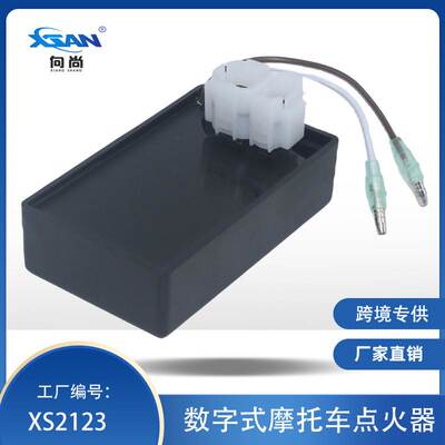 XSAN摩托车点火器0452310适用于Polaris Phoenix 200CC车型