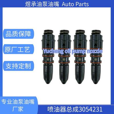 3054231 3054233 3054228 3054220 3047991喷油嘴PT泵共轨喷油器
