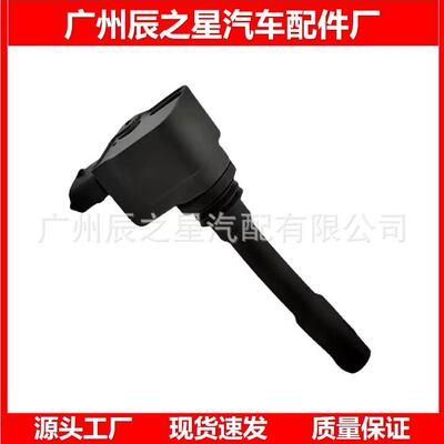 3603040-45L 360304045L点火线圈