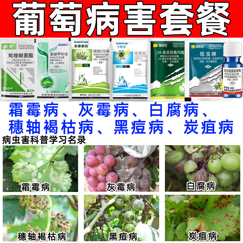 葡萄病害防治套餐葡萄白腐病灰霉病炭疽病杀菌防病通用杀菌剂正品