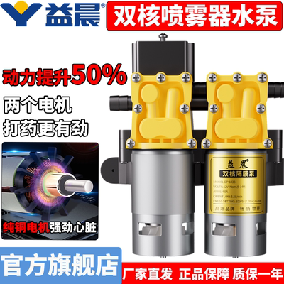 益晨高压双泵电动喷雾器水泵配件大全打药大压力12v喷雾器大功率