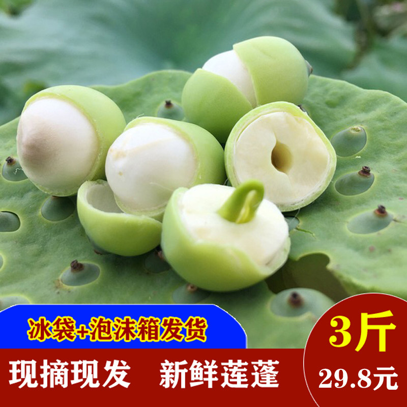 新鲜莲蓬湖北洪湖特产生吃鲜莲子即食蔬菜水果当季嫩莲米现摘现发