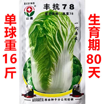 丰抗78白菜种子风味优良