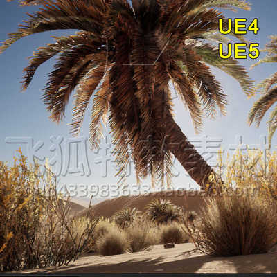 [UE5道具] 沙漠绿植花草树木道具模型 Desert Vegetation 包更新