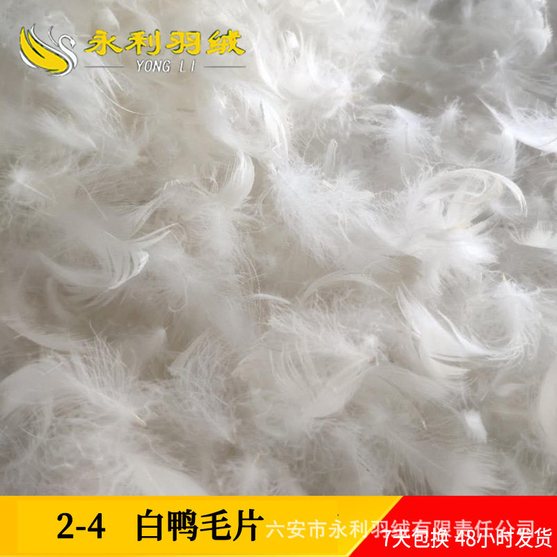 羽毛羽绒用于沙发枕芯床垫无异味高蓬松清洁五厢2--4水洗白鸭毛片