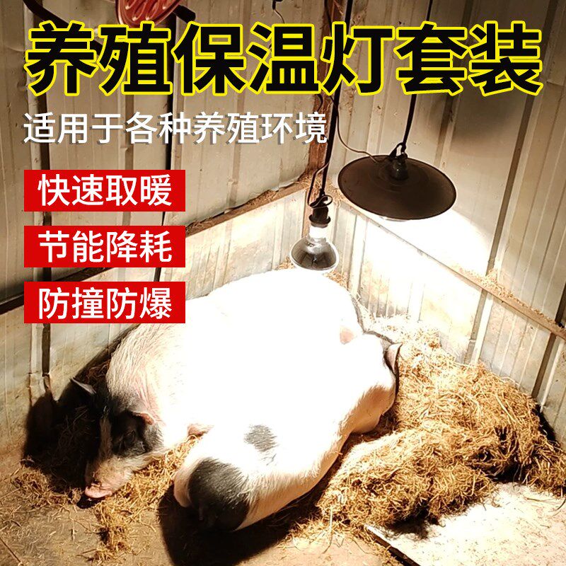 保温灯养殖场专用小鸡育雏取暖y灯养鸡烤灯灯罩猪场自动控温加热