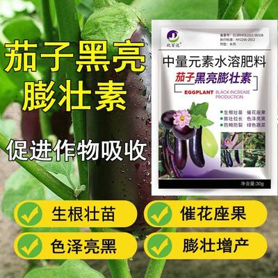 茄子专用肥料 乌黑紫亮拉长拉直素控旺药授粉 圆茄子黑又亮叶面肥