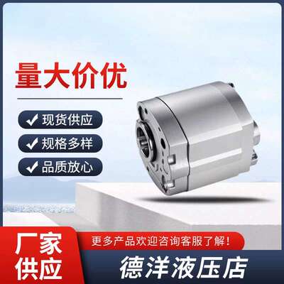 议价卡普罗尼液压帮浦Capro齿轮泵30A(C)X20 X25 X28 X32 X36 X42