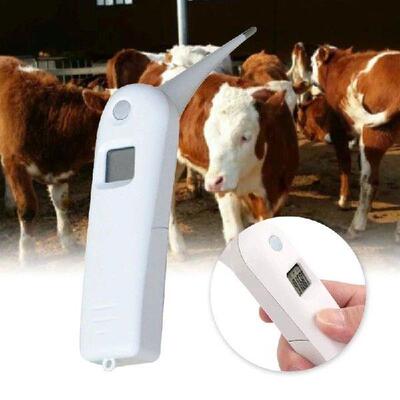 Animal Electronic Thermometer Pet Digital Rectal