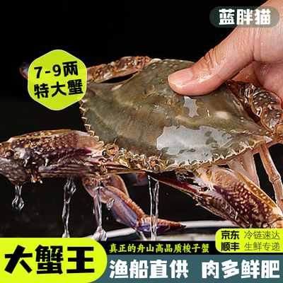 舟山梭子蟹新鲜冷冻大白蟹现捕野生公蟹螃蟹海鲜水产海蟹飞蟹冻蟹
