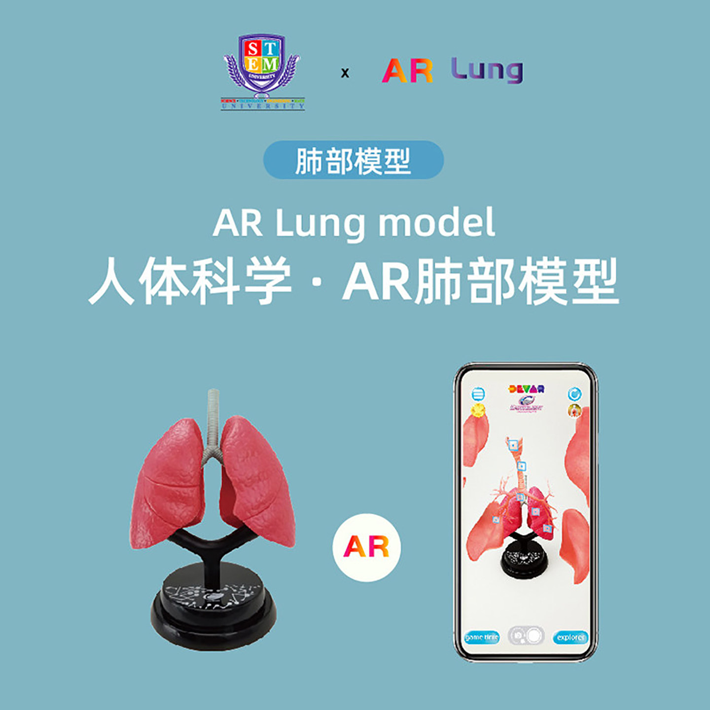 怡高正版AR人体肺部模型3d医学仿真儿童玩具学生科学实验教具