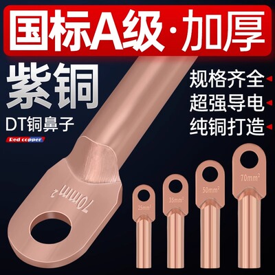 国标A级DT铜鼻子接线端101