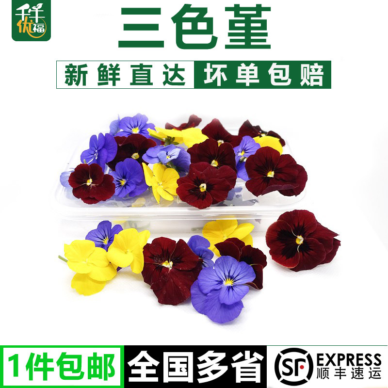 【千牛优福】新鲜三色堇角堇瑾西餐摆盘装饰点缀花草1-5盒