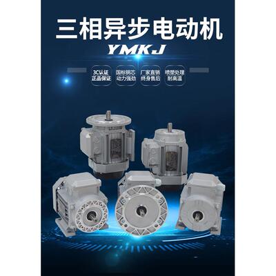 GS6324  TC6324 MS6324 YS6324 180W1400转三相国标电机马达 现货