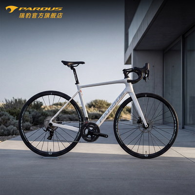 瑞豹Robin PD59-L TWOO R9综合公路车自行车碟刹乐陵涂装限定2022