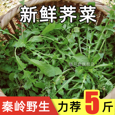 新鲜现挖秦岭野生荠菜