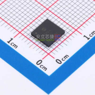 数字信号处理器(DSP/DSC) dsPIC33EP64GS502-I/MM QFN-28 MICROCH